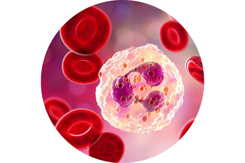 Inflammation: A Driving Force of Autoimmune Disease » Global Autoimmune ...